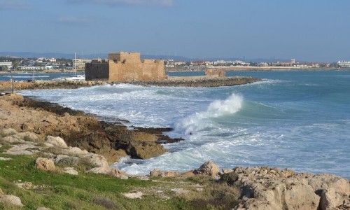Paphos Forest | Cyprus Island