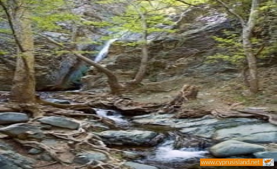 Troodos National Forest Park | Cyprus Island