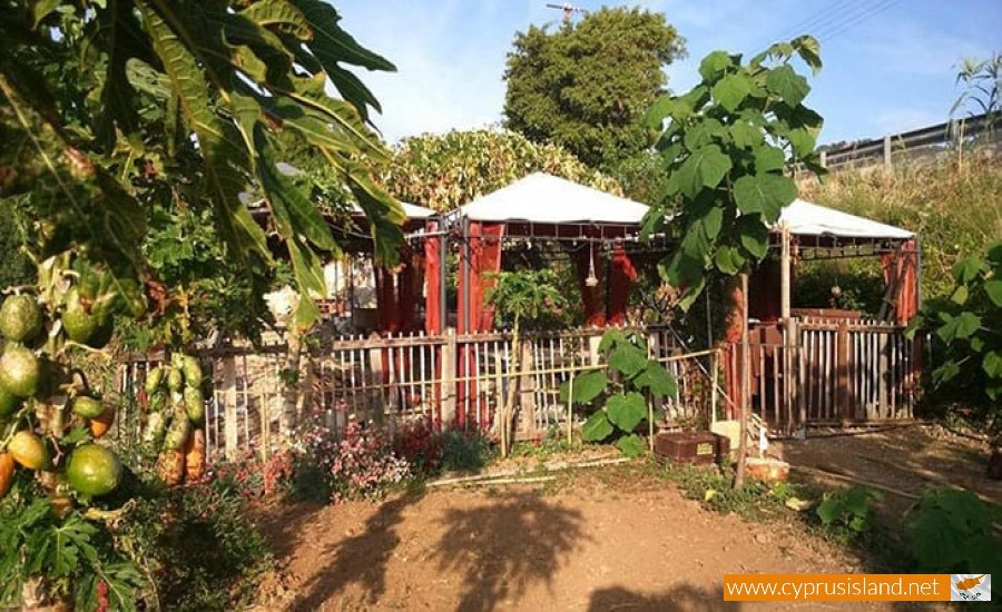 Gialia Village | Paphos | Cyprus Island